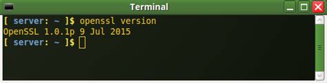 Openssl Linux Mint CZ SK