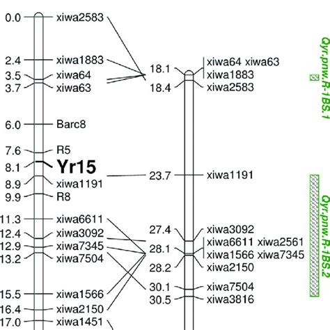 Partial Genetic Linkage Map Of Chromosome 1bs From Wa8149s0900001l