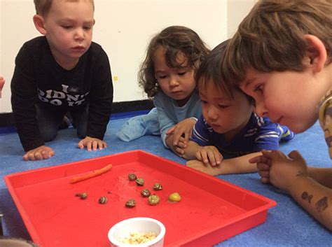 Hands On Science Explorations What IS Science Scholastic