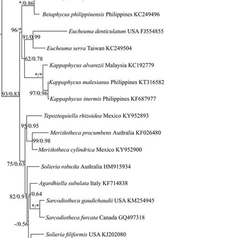 Bayesian Topology Based On The Rbcl Sequences Data Ml Bootstrap Values