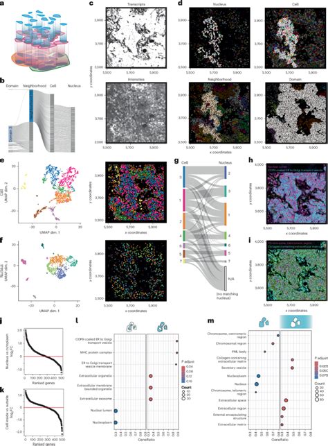 Giotto Suite A Multiscale And Technology Agnostic Spatial Multiomics