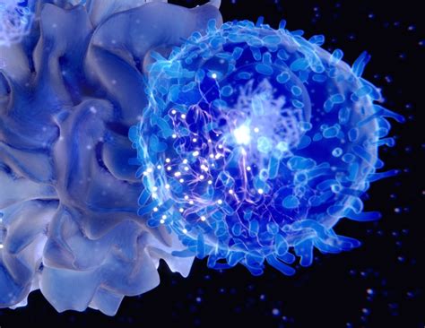 Persistent Vs Latent Infections What Is The Difference