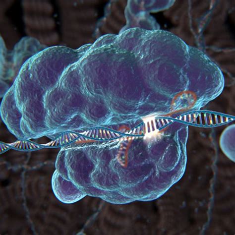 Enabling Coronavirus Detection Using Crispr Cas13 An Open Access Sherlock Research Protocol