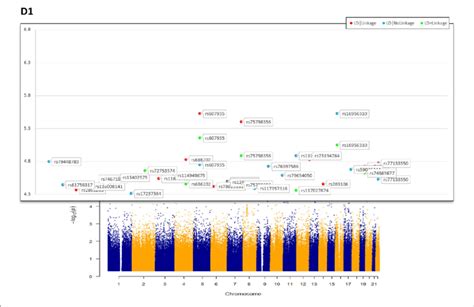 Manhattan Plot For Genome Wide Linkage And Linkage Disequilibrium With