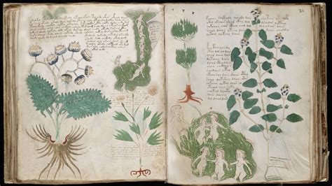 Voynich Manuscript Pdf High Resolution