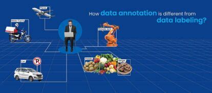 Outsource Data Annotation Services Data Labeling Services