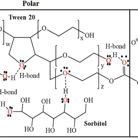 Proposed Structure Of The Possible Intermolecular Interactions Between