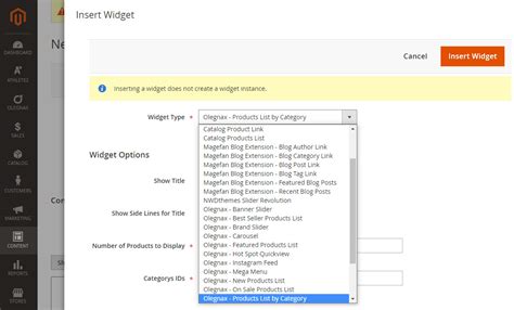 How To Useinsert Widgets In Magento 2 Olegnax