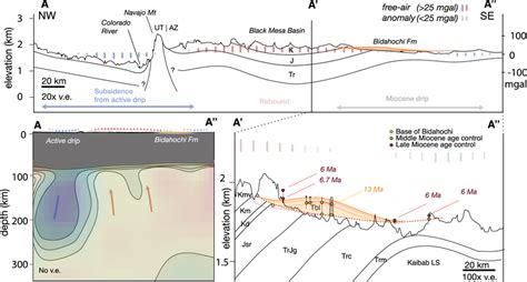 Cross Sections Showing The Spatial Correspondence Between Free Air Download Scientific Diagram