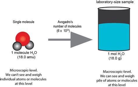 Why Do We Need Avogadro S Number In Chemistry At Herman Dunlap Blog