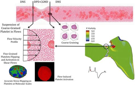 A Schematic Of The Multiscale Computing Framework Download Scientific