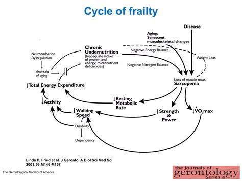 Introduction To Sarcopenia And Frailty Pdf Physical Therapy Wellness