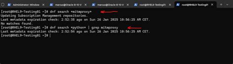 Mastering The Mitmproxy Mitm Interactive Proxy On Linux