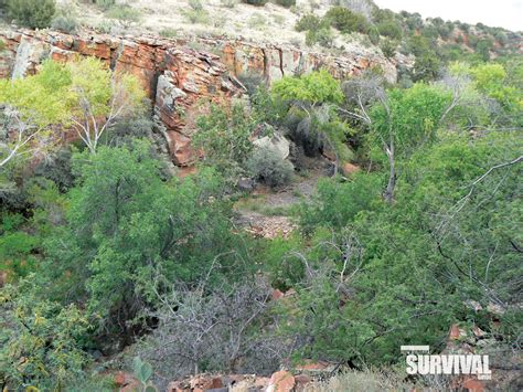 Lession Learned From Others Mistakes American Outdoor Guide