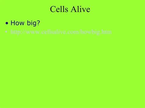 Cells As The Building Block Of All Lifes Ppt