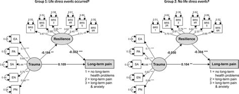 The SEM Models Of The Mediating Effect Of Resilience BRS On The Download Scientific Diagram