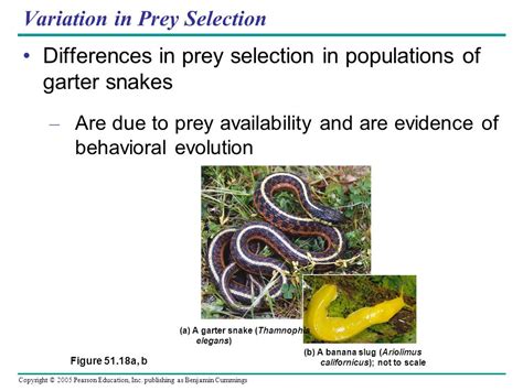 Chapter 51 Behavioral Ecology Ppt Download