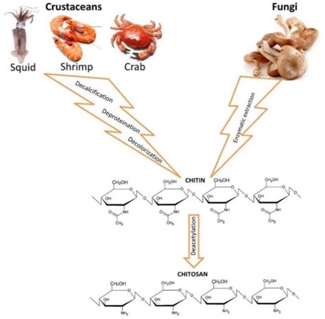 Chemosensors Mdpi On Linkedin Review Electrochemical Chemosensors Biosensors Food