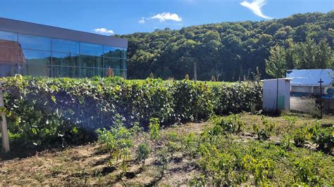 Vandut Teren Langa Dedeman Onesti 1048