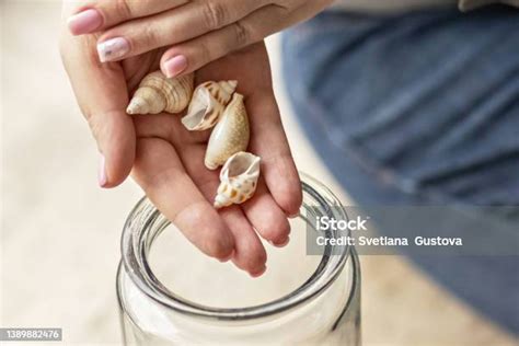 여성의 손에는 조개껍데기가 있습니다 껍질을 유리 병에 넣습니다 해변 보물 껍데기에 대한 스톡 사진 및 기타 이미지 껍데기 여자 개념 Istock