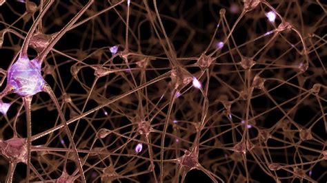 Premium Photo | 3d rendering of a network of neuron cells and synapses through which electrical ...