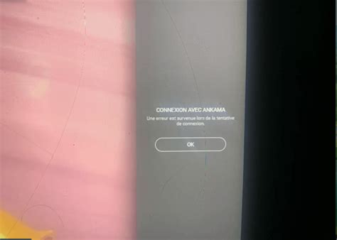 connexion problem in ankama launcher r dofus