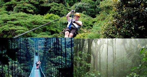 FullDay2 Hanging Bridges No Guide Cloud Forest Canopy Tour GetYourGuide