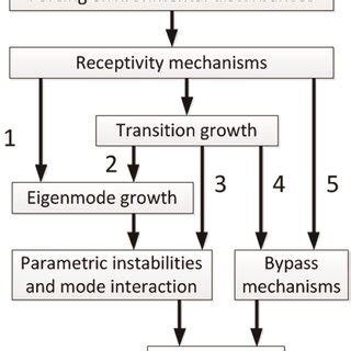 Five Boundary Layer Transition Paths To Turbulent Flow Download Scientific Diagram