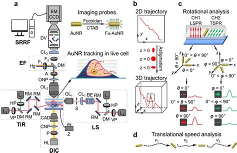 Proposed 6d Integrated Multifunctional Light Sheet Nanoscopy And