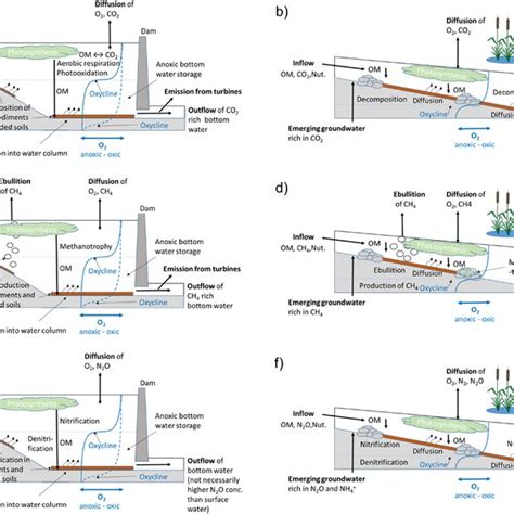 Schematic Representation Of Inland Water Ghg Budgets For Reservoirs As Download Scientific