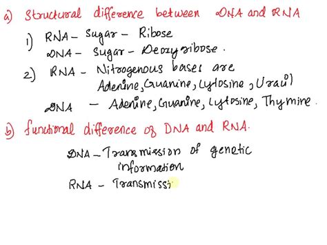 Solved Tabulate 2 Differences Between Dna Replication The Process Of