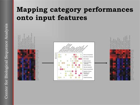 Prediction Of Protein Function From Sequence Derived Protein Features Ppt