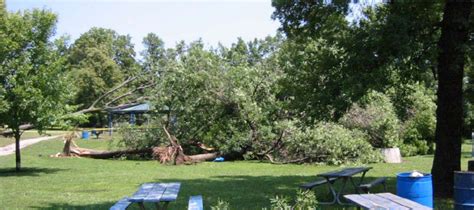 Storms Can Cause Damage And Tree Cleanup What You Need To Know