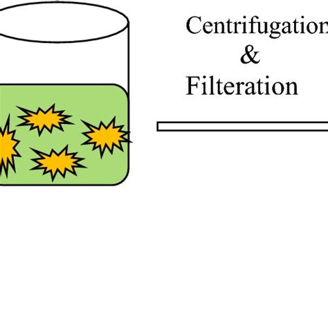 Green Synthesis Of Tio2 Nps By Using A Marmelos Leaf Extract Download Scientific Diagram