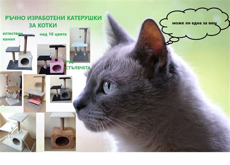 Alpha Aesthetics 🔖Обучение за Лекари Ботулинов токсин Off Label 📍гр София 25 Септември