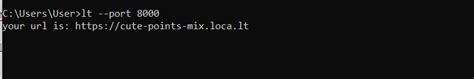 exposing a local web app to the world using localtunnel dev community