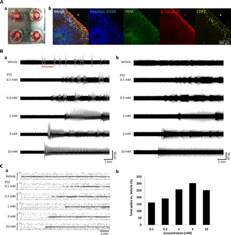 Analysis Of Signal Components
