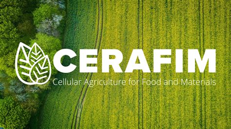 Cerafim Project Explored The Breakthrough Potential Of The Emerging Finnish Cellular Agriculture