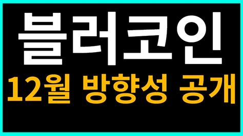 블러코인 전망 12월 방향성 공개 Youtube
