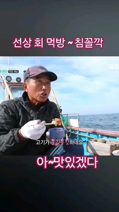 물회먹방 이후 최고의 회 먹방 ~ 침넘어가네요 물회 한국인의밥상 레전드 먹방 선상낚시 회 초밥 어부 회 양념 식사 Youtube