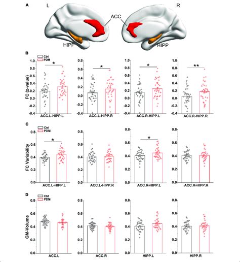Greater Static Fc And Fc Variability Between Acc And Hipp With