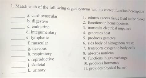 Solved 1 Match Each Of The Following Organ Systems With Its