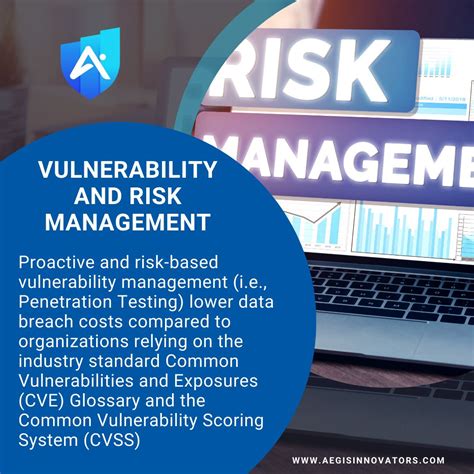 Vulnerabilitymanagement Riskmanagement Cybersecurity Aegis Innovators