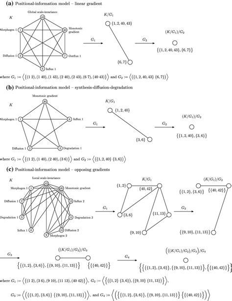 1 Skeletons Of The Simplicial Representations And Orbit Spaces For The Download Scientific 1 Skeletons Of The Simplicial Representations And Orbit Spaces For The Download Scientific