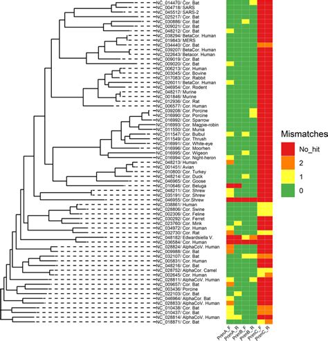 Phylogenetic Tree Built Using 68 Full Reference Genomes Of Cov Species