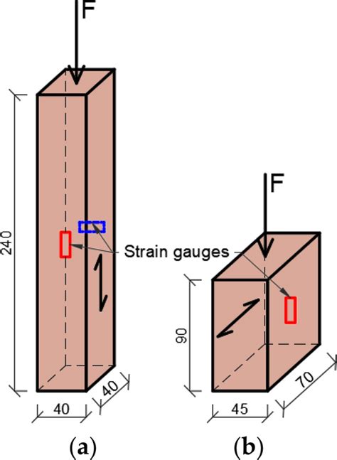 Experimental Setup Of The Compression Test A Parallel To Grain 0 B Download Scientific