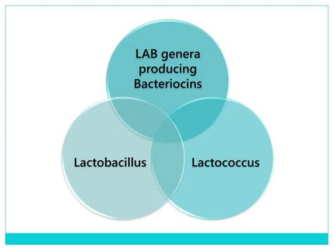 Bacteriocins From Lactic Acid Bacteria Pptx Chemistry Science