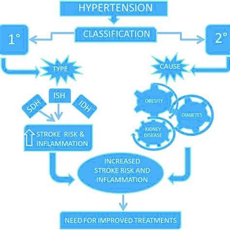 Aging And Stroke A Schematic Diagram Of The Factors Contributing To Download Scientific