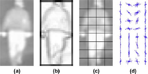 Figure 1 From Face Detection Histogram Of Oriented Gradients And Bag