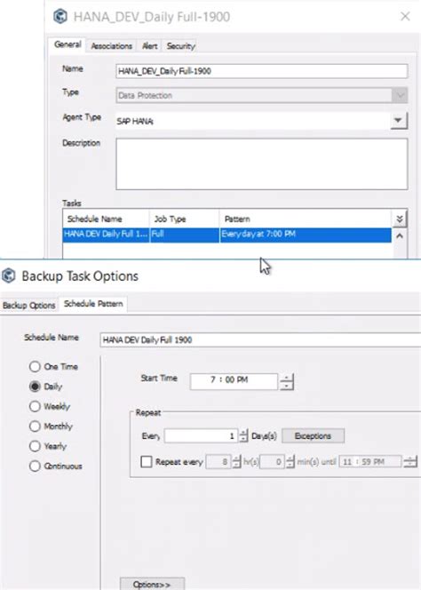 Sap Backups On Aws Using Commvault Architecture And Core Component Deployment Aws For Sap Sap Backups On Aws Using Commvault Architecture And Core Component Deployment Aws For Sap